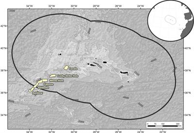 Frontiers | Modelling the Dispersion of Seafloor Massive Sulphide ...