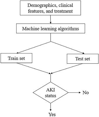 Frontiers | Using a machine learning model to predict the development ...