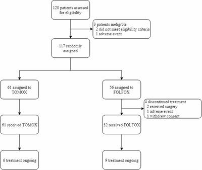 Frontiers | A randomized phase II trial of hepatic arterial infusion of ...