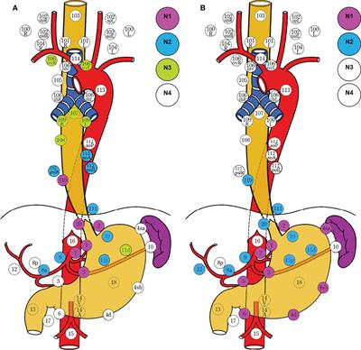 Frontiers | Mapping of lymph node dissection determined by the ...