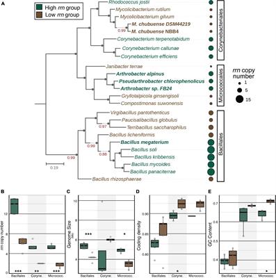 Frontiers | Substrate Utilization and Competitive Interactions Among ...
