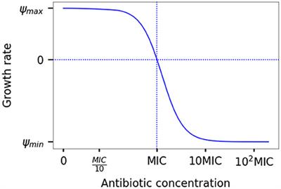 Frontiers | Modeling Polygenic Antibiotic Resistance Evolution in Biofilms