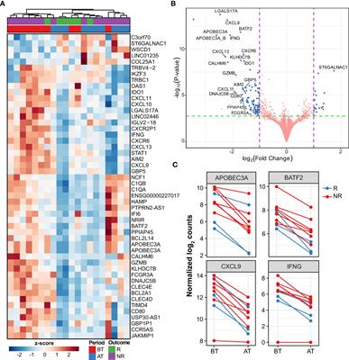 Frontiers | Gene expression patterns associated with multidrug therapy ...