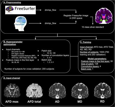 Frontiers | DORIS: A diffusion MRI-based 10 tissue class deep learning ...