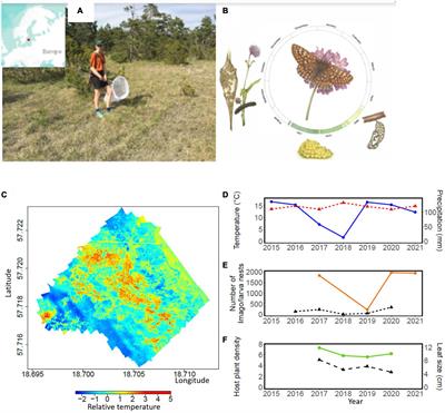 Frontiers | Yearly weather variation and surface temperature drives the ...