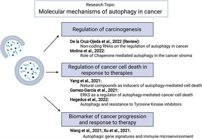Frontiers | Editorial: Molecular Mechanisms of Autophagy in Cancer