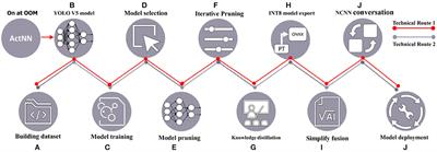 Frontiers | An Industrial-Grade Solution for Crop Disease Image ...