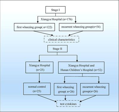 Frontiers | Pathogens and Pathogenesis in Wheezing Diseases in Children ...