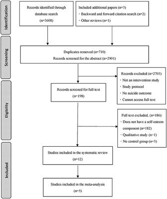 Frontiers | The Effectiveness of Self-Esteem-Related Interventions in ...