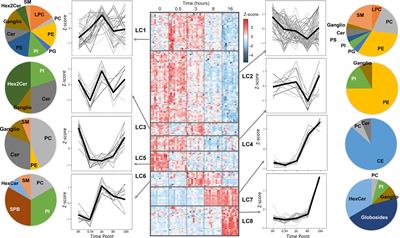 Frontiers | Immunolipidomics Reveals a Globoside Network During the ...