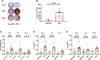 Frontiers | Peripheral tuberculin purified protein derivative specific ...