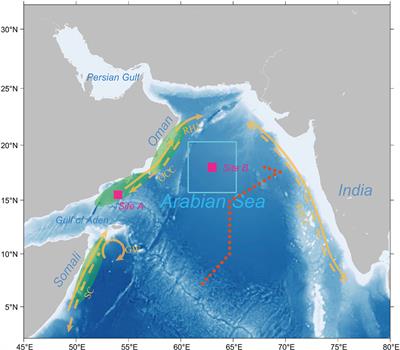 Frontiers | Role of ocean circulation and settling of particulate ...