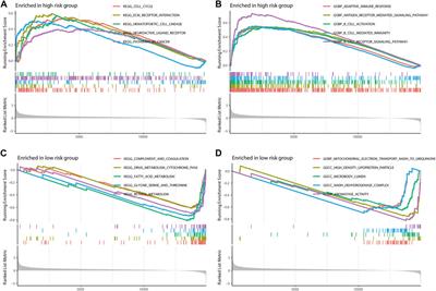 Frontiers | Comprehensive analysis of nine m7G-related lncRNAs as ...