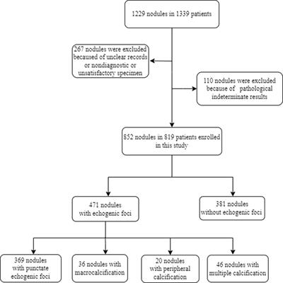 Frontiers | Role of echogenic foci in ultrasonographic risk ...