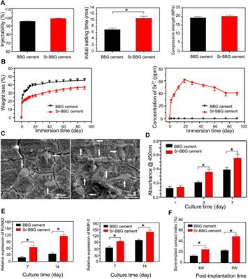 Frontiers | Engineered bone cement trigger bone defect regeneration