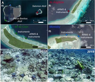 Frontiers | Remote reef cryptobenthic diversity: Integrating autonomous ...