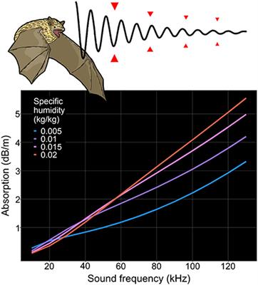 Frontiers | Atmospheric humidity affects global variation of bat ...