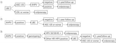 Frontiers | Performance of human papillomavirus E6/E7 mRNA assay for ...