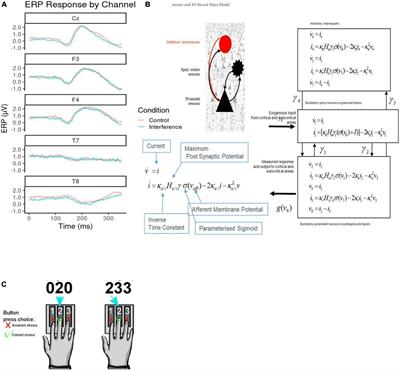 Frontiers | Toward biophysical markers of depression vulnerability