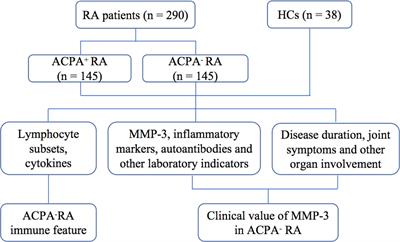 Frontiers | Evaluation of the immune feature of ACPA-negative ...