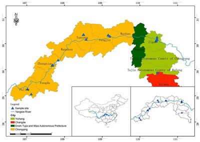 Frontiers | Responses of leaf functional traits to different ...