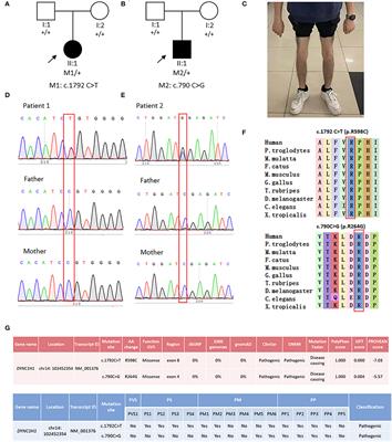 Frontiers | Expanding the Phenotypic and Genetic Spectrum of ...