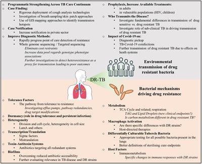 Frontiers | Drug resistant tuberculosis: Implications for transmission ...