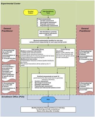 Frontiers | Efficacy of a multiple-component and multifactorial ...