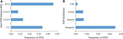 Frontiers | Whole Genome Sequencing and Morphological Trait-Based ...