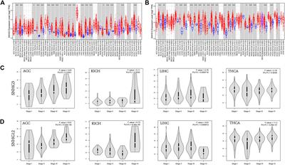 Frontiers | Systematic pan-cancer analysis on the expression and role ...