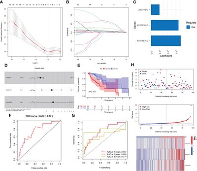 Frontiers | Prognostic model based on m6A-associated lncRNAs in ...