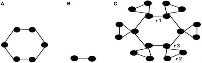 Frontiers | Consensus analysis of the weighted corona networks