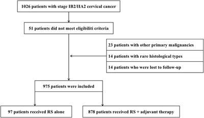 Frontiers | Radical surgery for stage IB2/IIA2 cervical cancer: A large ...