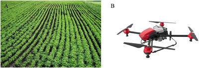 Frontiers | Performance-guaranteed distributed control for multiple ...