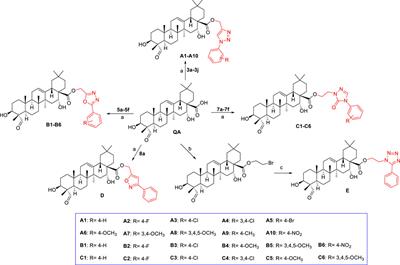 Frontiers | Synthesis and evaluation of anticancer activity of quillaic ...