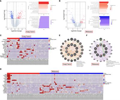 Frontiers | CD69 and SBK1 as potential predictors of responses to PD-1 ...