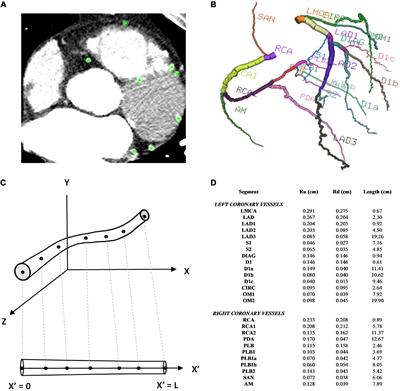 Frontiers | A predictive patient-specific computational model of ...