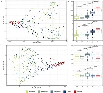 Frontiers | Bacteroides abundance drives birth mode dependent infant ...