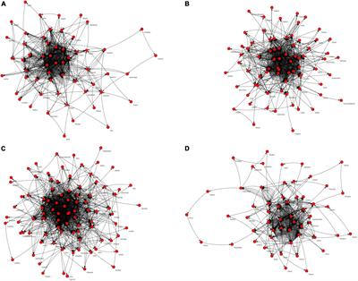Frontiers | Body experience influences lexical-semantic knowledge of ...