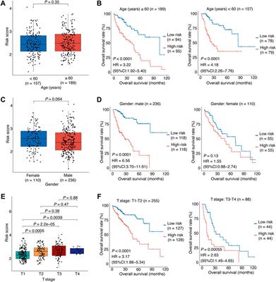Frontiers | Identification of senescence-associated long non-coding ...