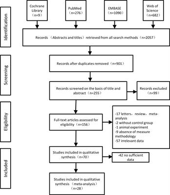Frontiers | The Relationship Between Porphyromonas Gingivalis and ...