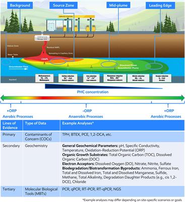 Frontiers | Framework for field-scale application of molecular ...