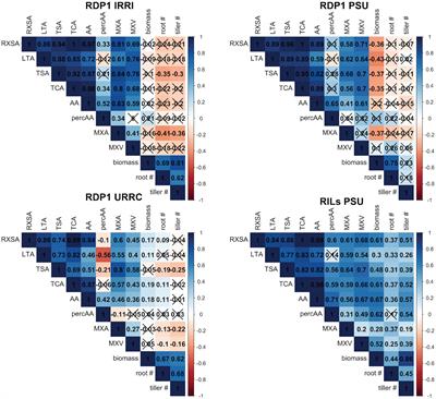 Frontiers | Many paths to one goal: Identifying integrated rice root ...