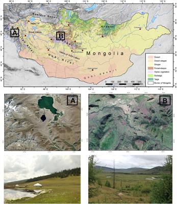 Frontiers | The reconstruction of Holocene northwestern Mongolian fire ...