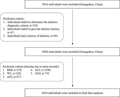 Frontiers | The association of liver enzymes with diabetes mellitus ...