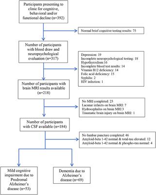 Frontiers | Combining visual rating scales to identify prodromal ...