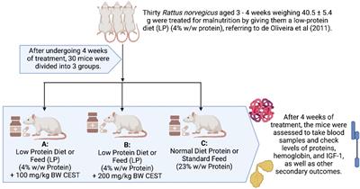 Frontiers | Bioactive peptides identification and nutritional status ...