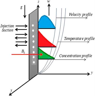 Frontiers | Suction effect on MHD flow of Brinkman-type fluid with heat ...