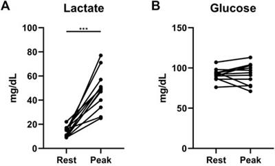 Frontiers | Exercise metabolomics in pulmonary arterial hypertension ...
