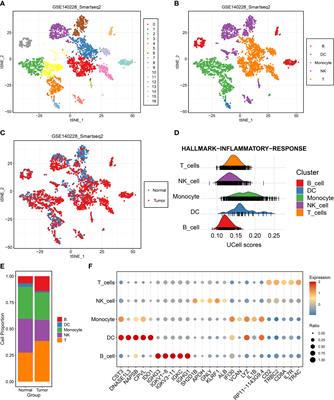 Frontiers | CD8+ T cell trajectory subtypes decode tumor heterogeneity ...